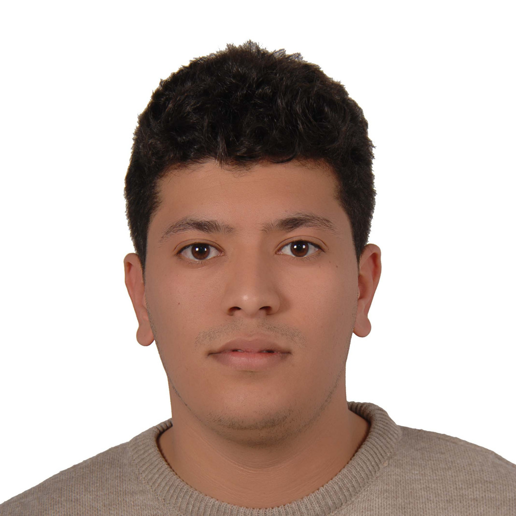 Ahmed Ferjani - Full-Stack Developer - Bouygues Telecom | XING
