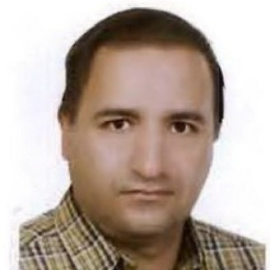 Ing. Babak Baghdadi: Ausbildung und Berufserfahrung | XING