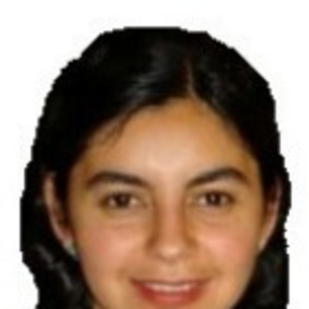 Penelope Partida Martinez - Jefe de Departamento - NEC de México | XING