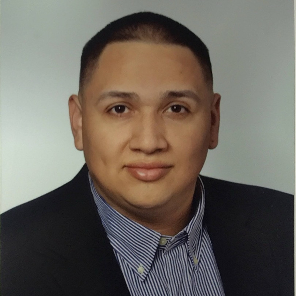 Ramon Fierro - SAP Consultant - Delaware Consulting | XING