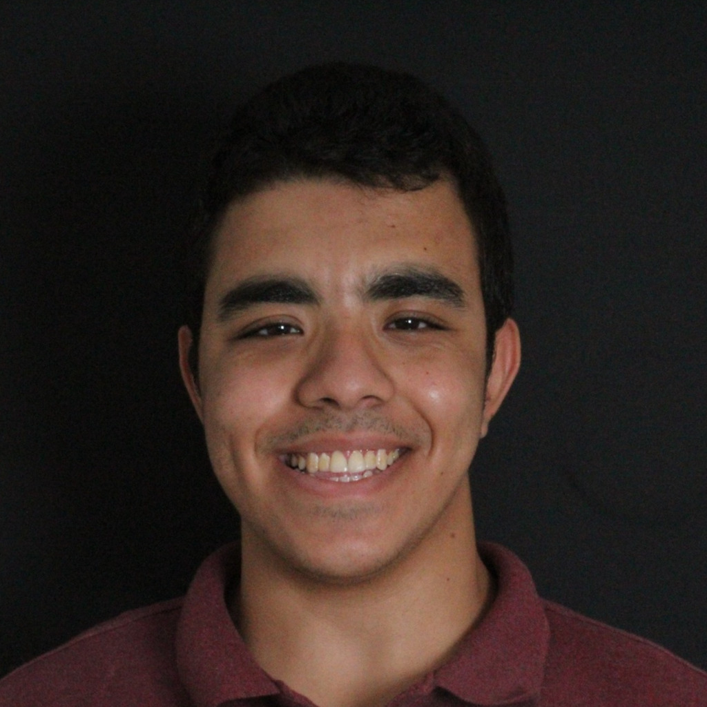 Moustafa Ascoura - Python/Odoo Developer - Trend Systems Integrator | XING