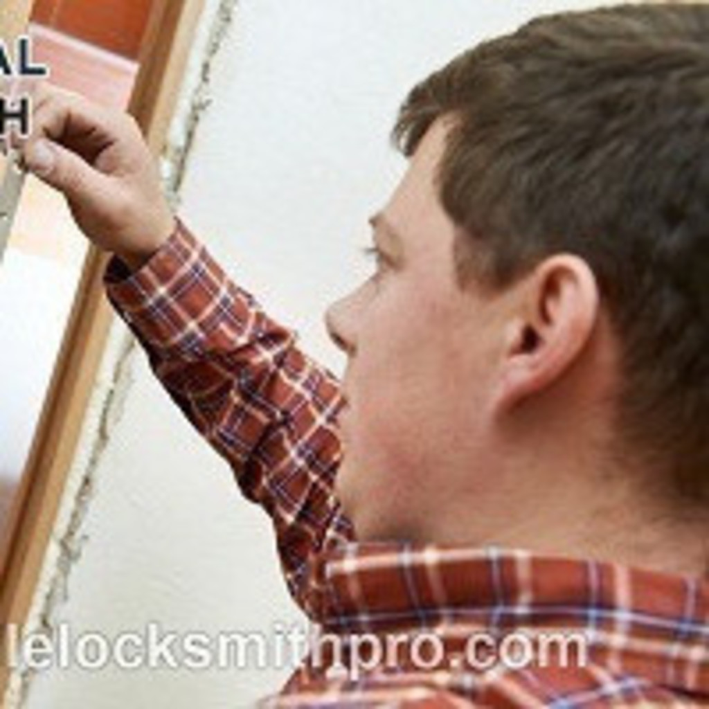 Bryan Trueman - owner - Naperville Locksmith Pro | XING