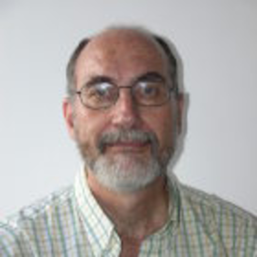 Jose Manuel Domenech Roldán - Autónomo - Autonomo | XING