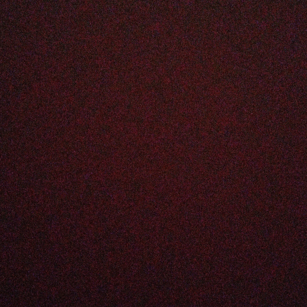 Husnain Ali - Veterinarian - Xyz | XING