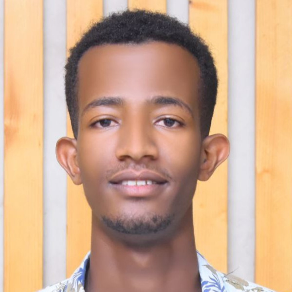 Aysanew Yonas - UX/UI Designer - BM Technology PLC | XING