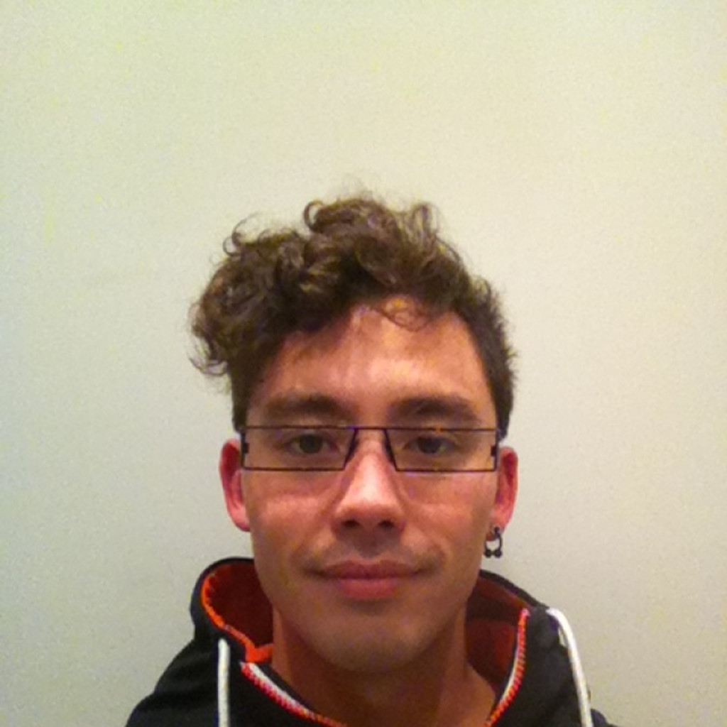 Michael Paulus - International 3rd level Backoffice Support Engineer ...