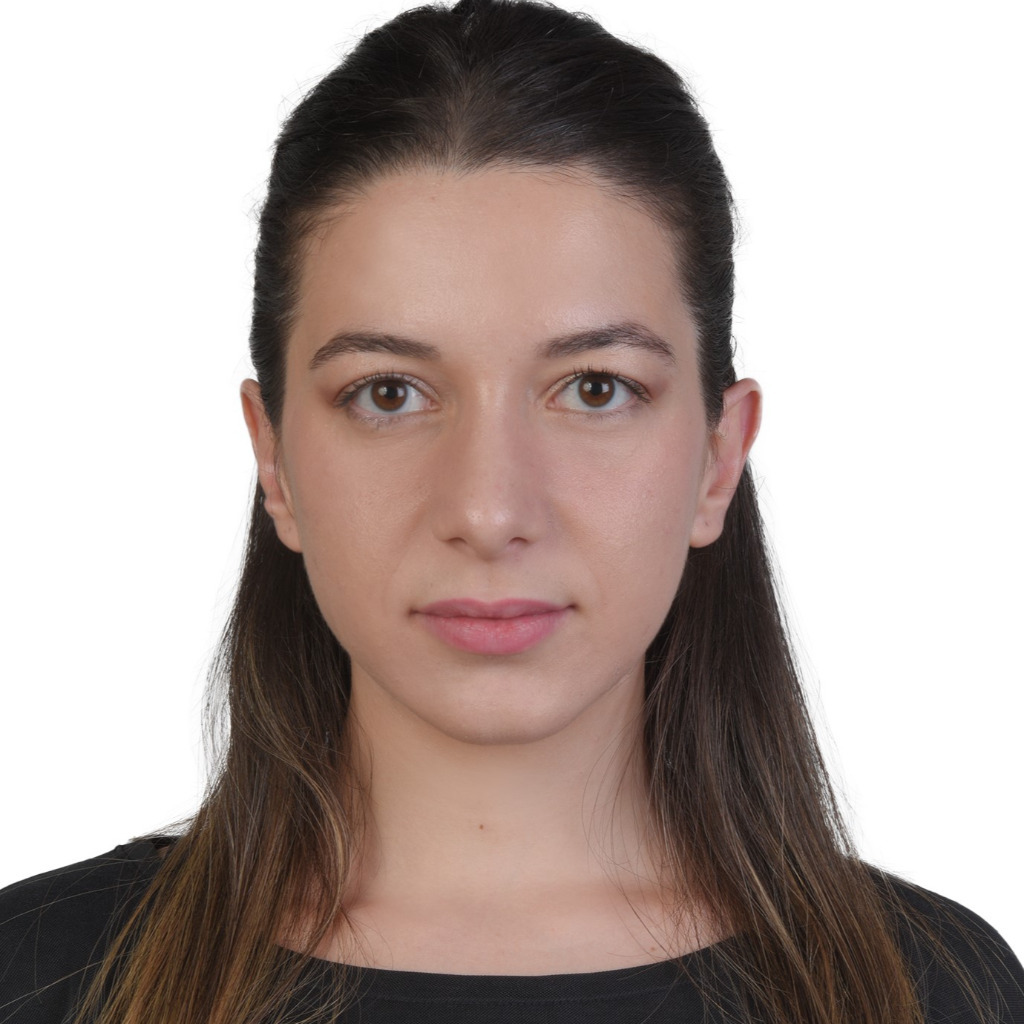 ilayda salt: Ausbildung und Berufserfahrung | XING