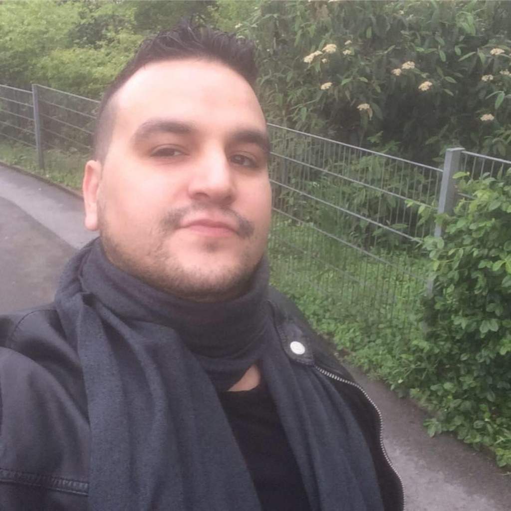 Nouredine Sadik Cherabi - Vert - Tempton Group GmbH | XING