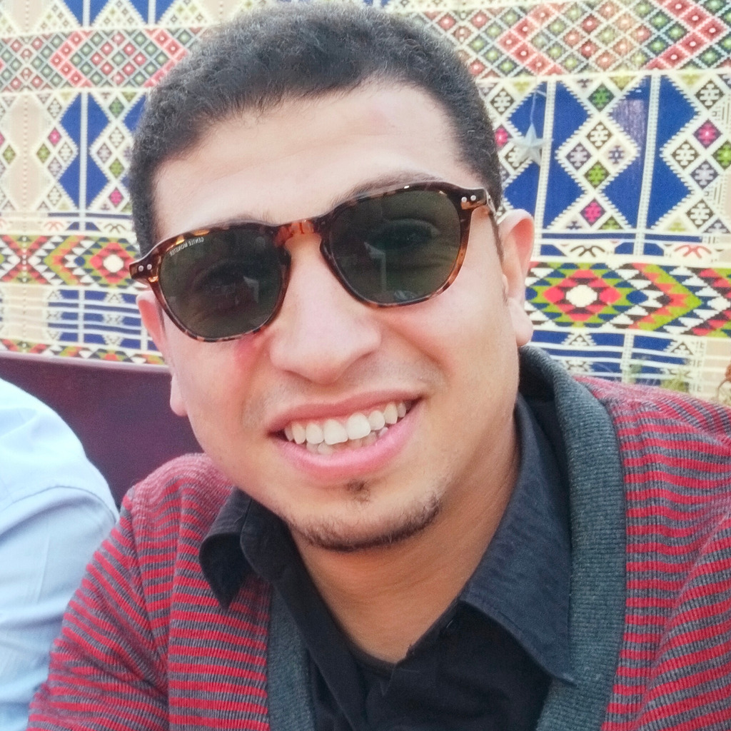 Mahmoud Nour - IT Consultant - CEG consultant Engineering Group | XING