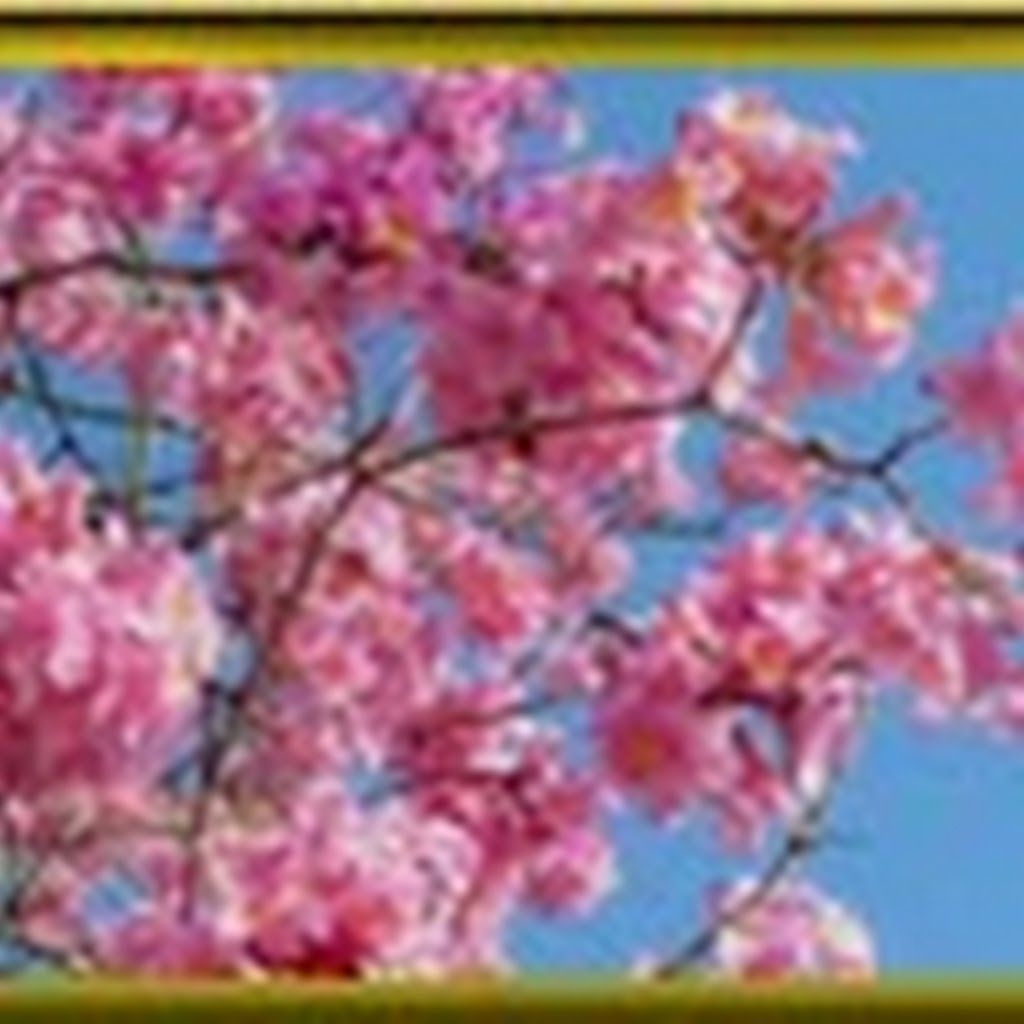 Raphael Yaw Akoto - Electrical Engineering Technician - Electricity ...