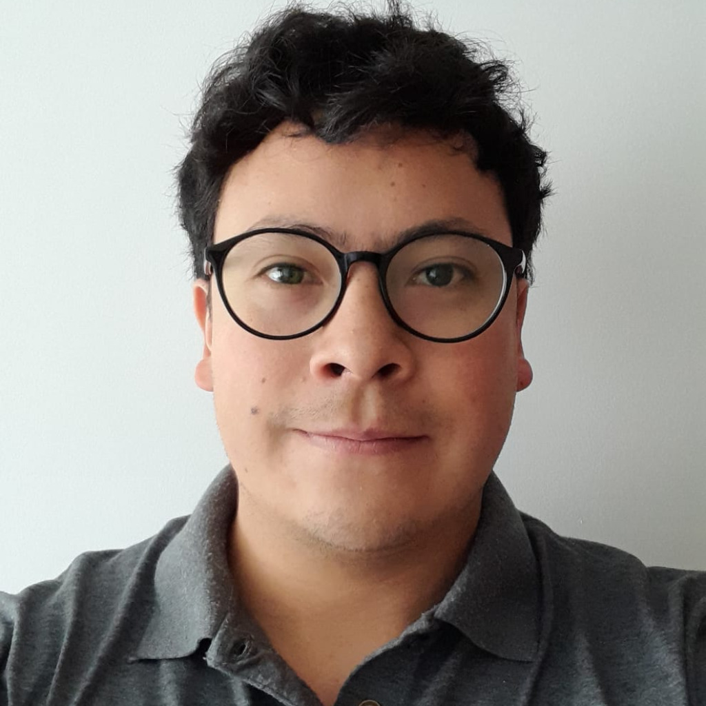 David Maldonado - Leitender Instandhaltungsingenieur - Veolia ...