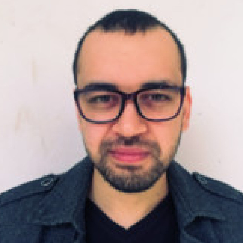 Mehdi Sayeb - .NET Web Developer - Whitecape Technologies | XING