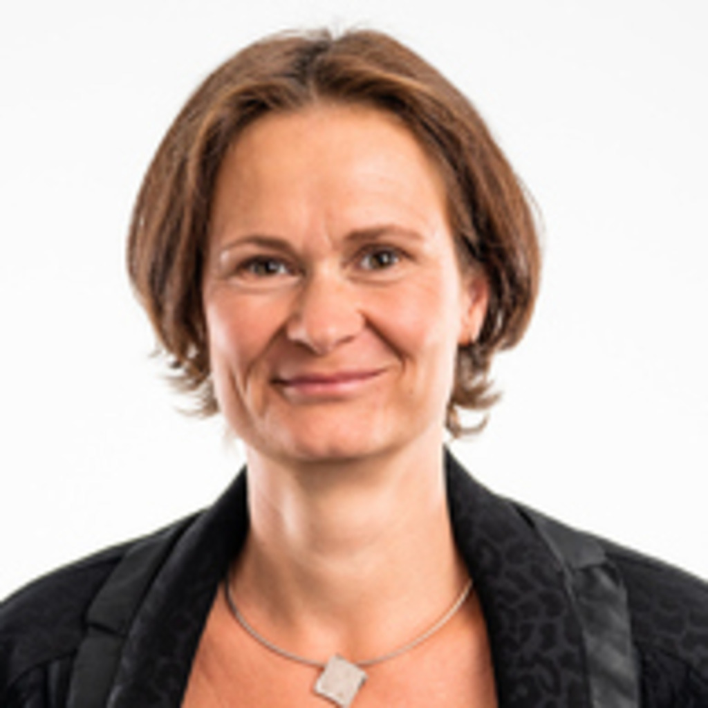 Susanne Hamann - Senior Controlling/ Unternehmensentwicklung - DDV ...