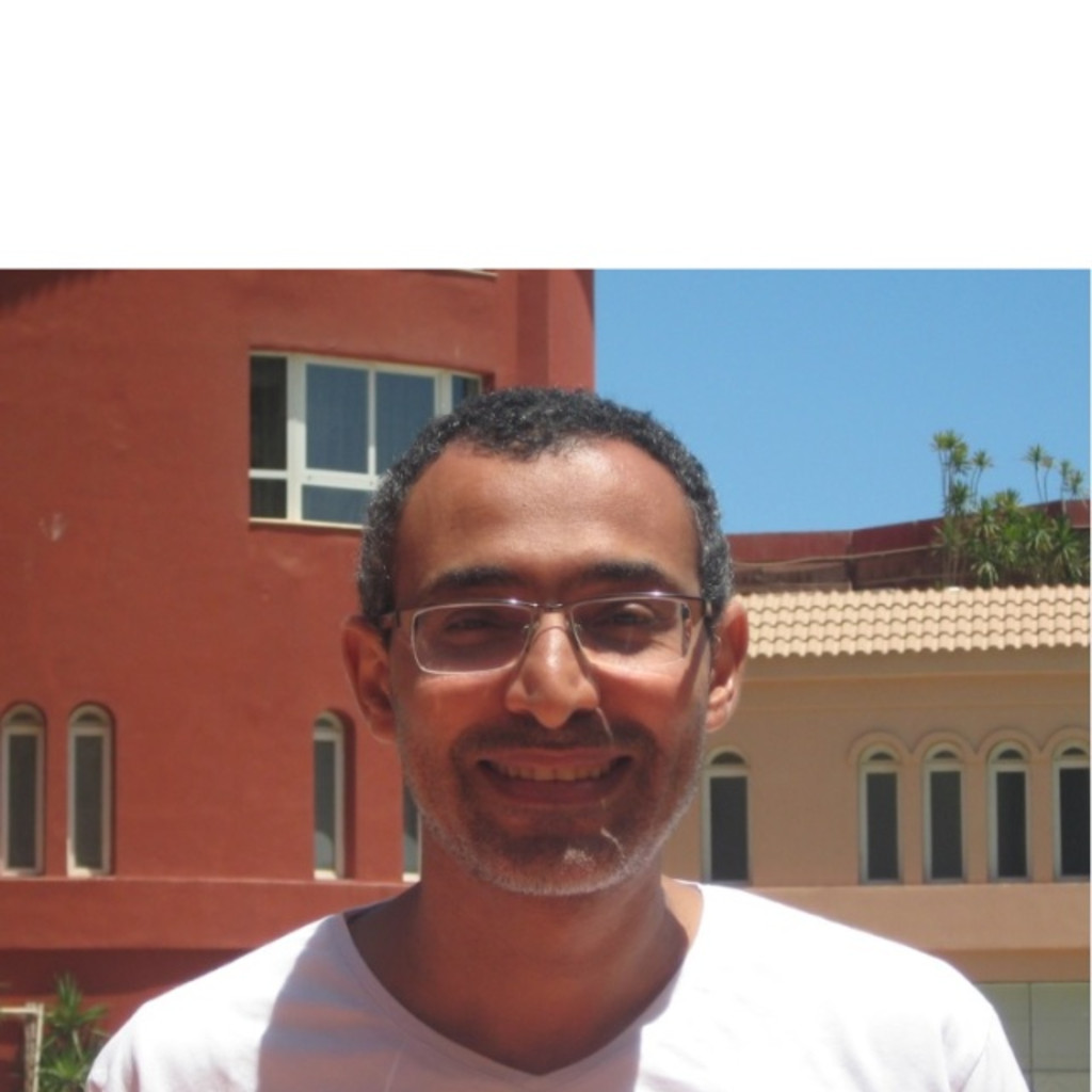 Sameh Abdel Karim - IT Capacity Management Advisor - Mobinil | XING