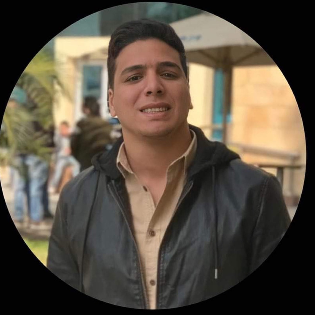 Mahmoud Hanafy - Senior Network Enginner - Vodafone GmbH | XING