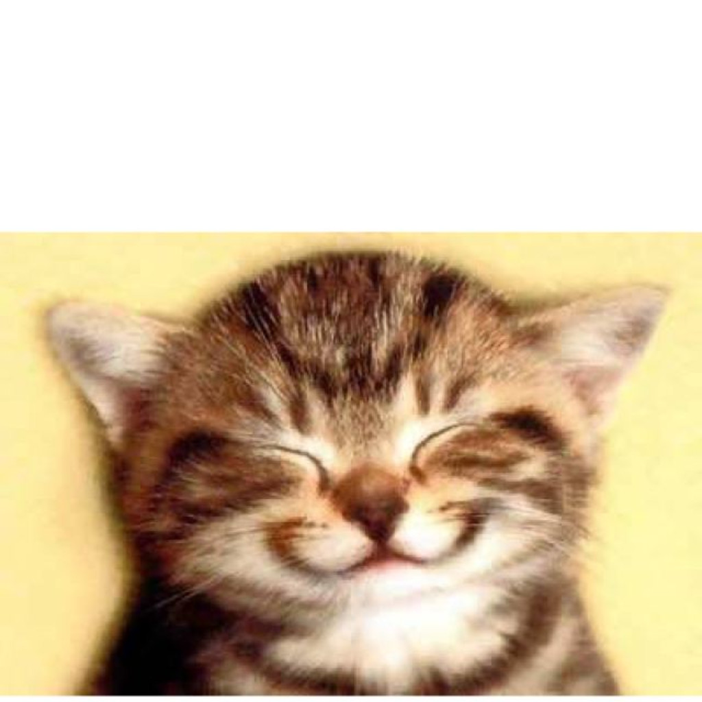 Dirk Muller - Senior Manager - Architecture - Hewllet Packard | XING