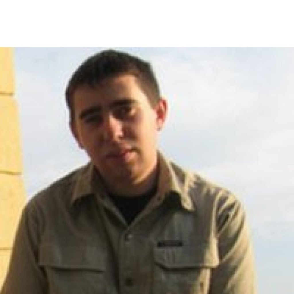 Aleksandar Andrijevic - Software developer - TiCo | XING