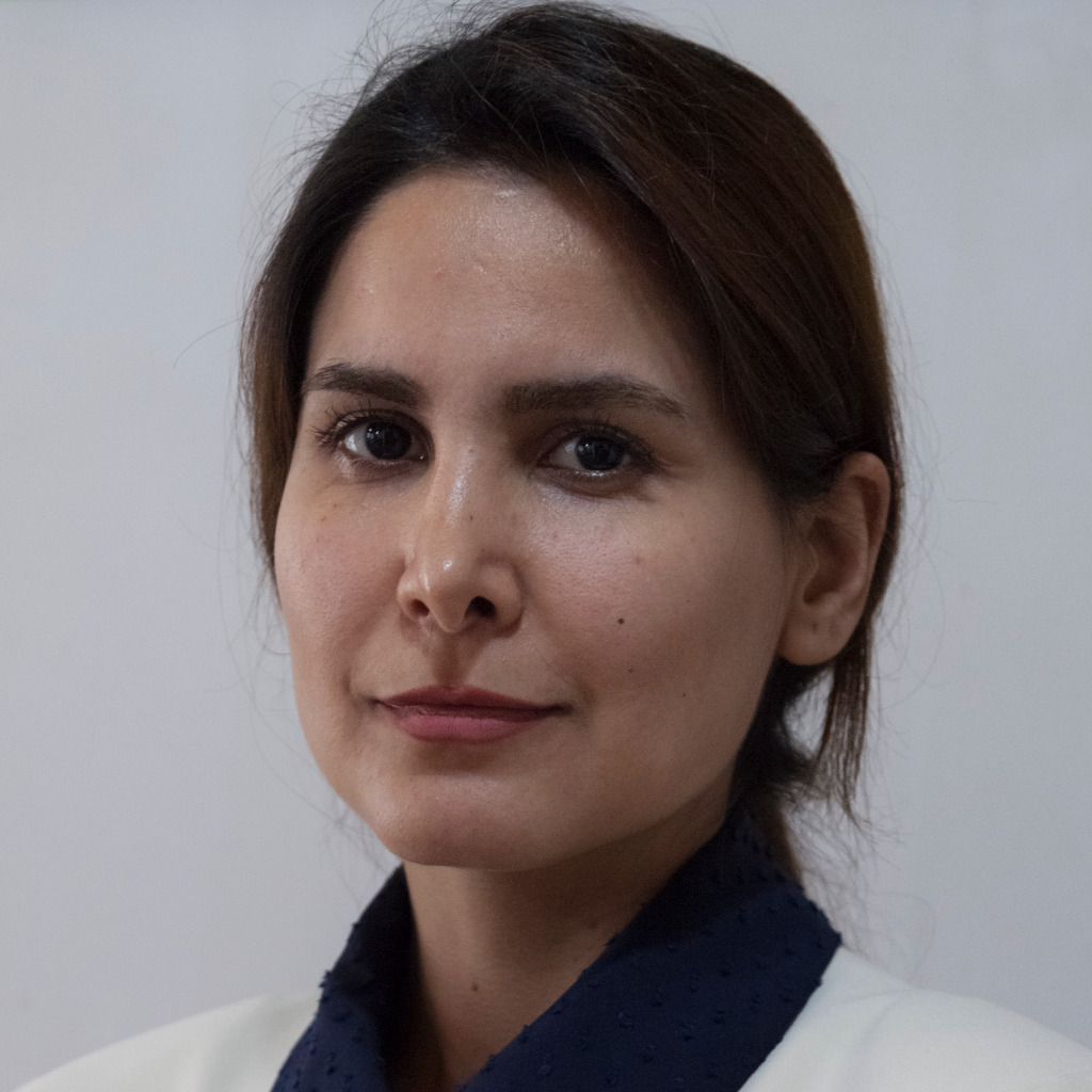 Somayeh Atef Derakhshan - Consultant salesforce Administration - FNZ ...