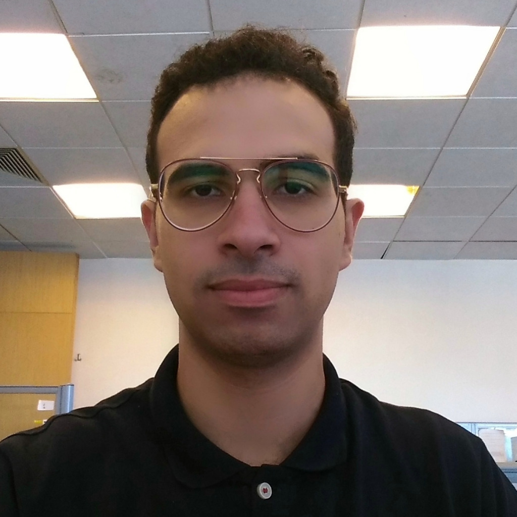 Omar Salem - Software Developer - Orange Egypt | XING