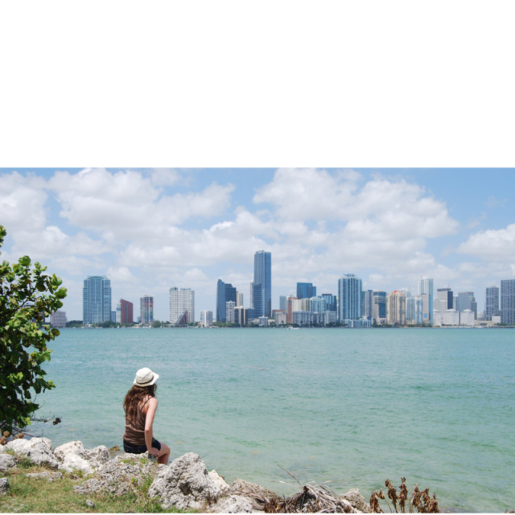 Lila Miranda - Diseñadora - Una Libelula Lila | XING