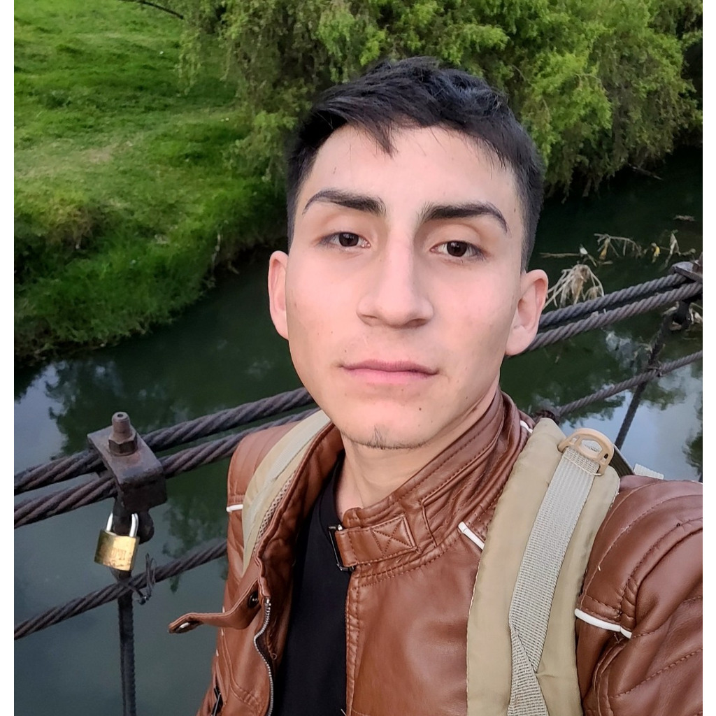 Eric Guarnizo Bustos - Electricista industrial - MLC Group | XING