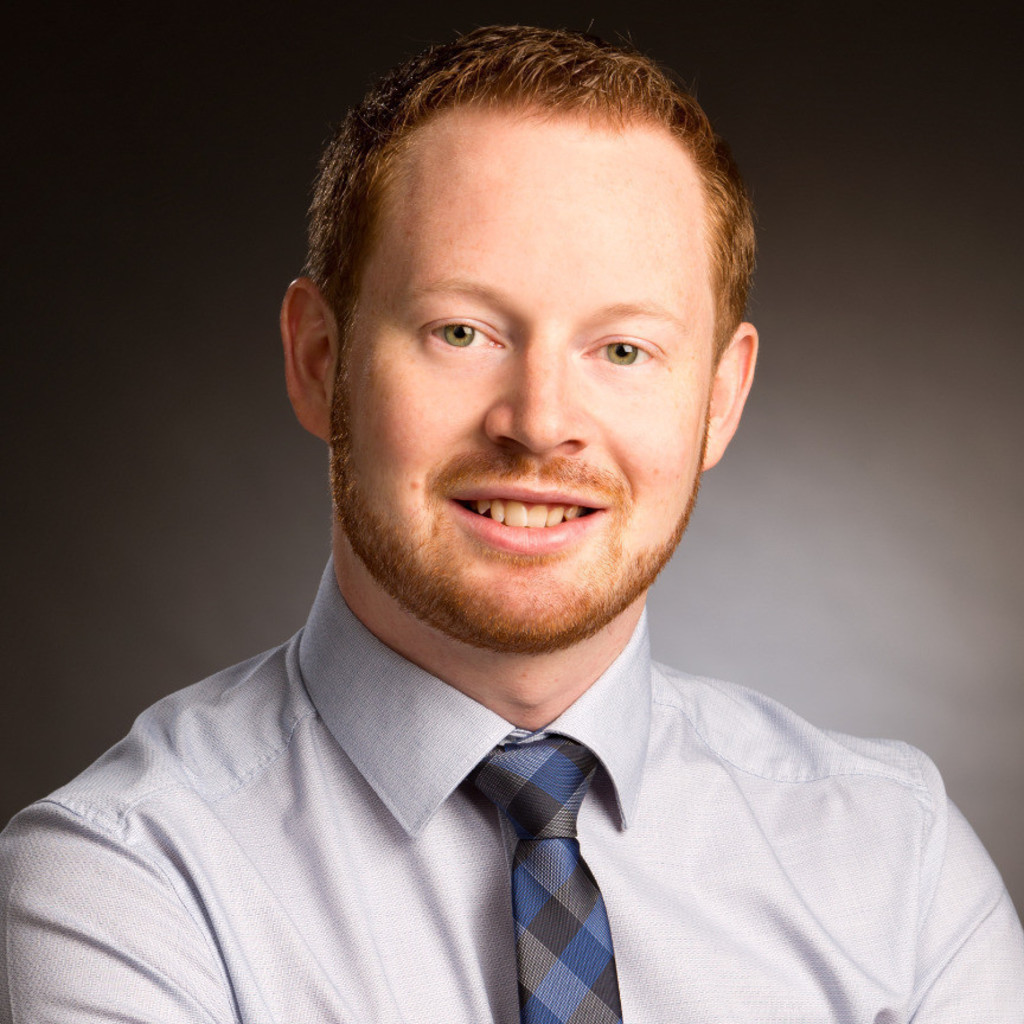 Daniel Holz - Product & Platform Manager - Vitesco Technologies GmbH ...