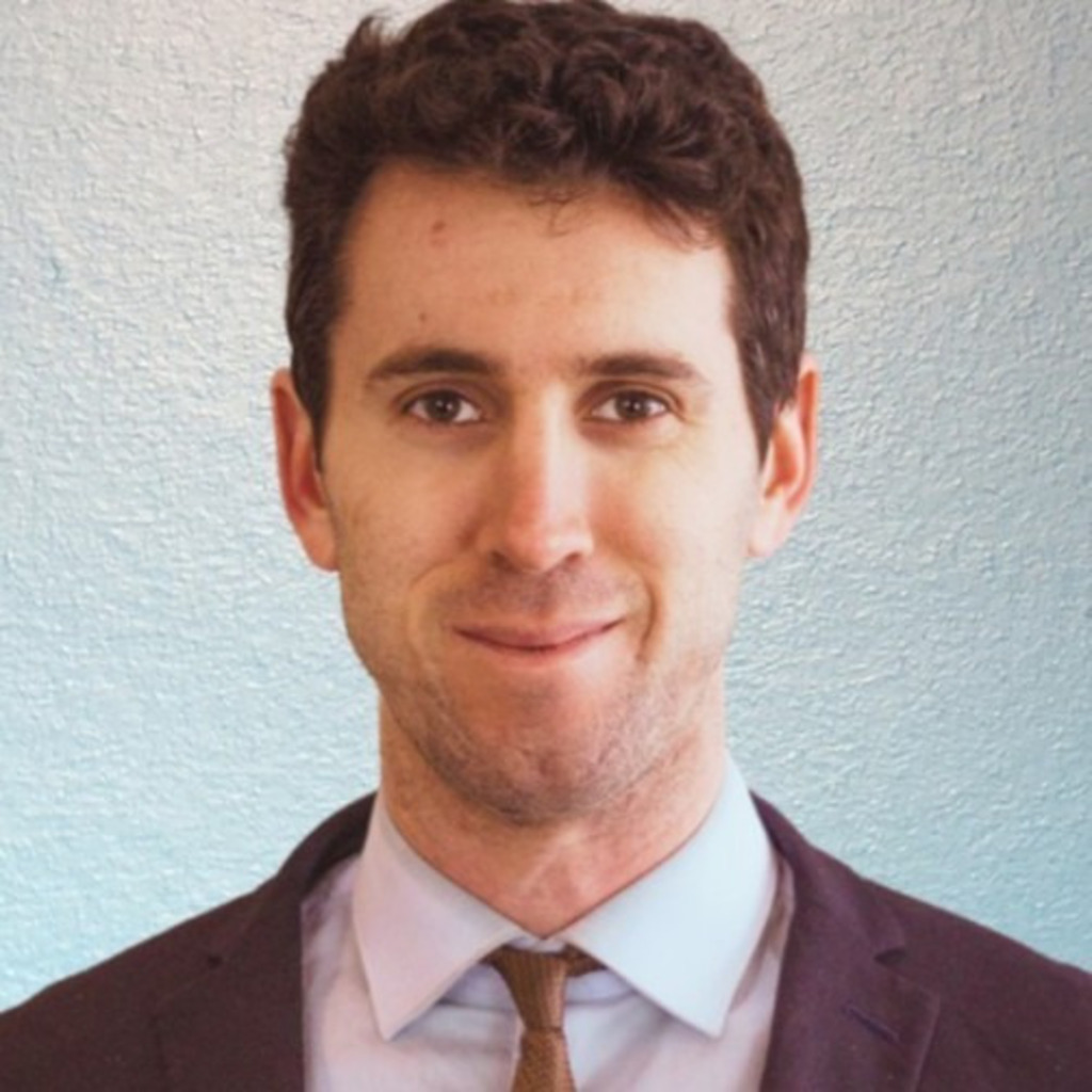 Michael Spector - Transport Consultant - SWISSTRAFFIC AG | XING