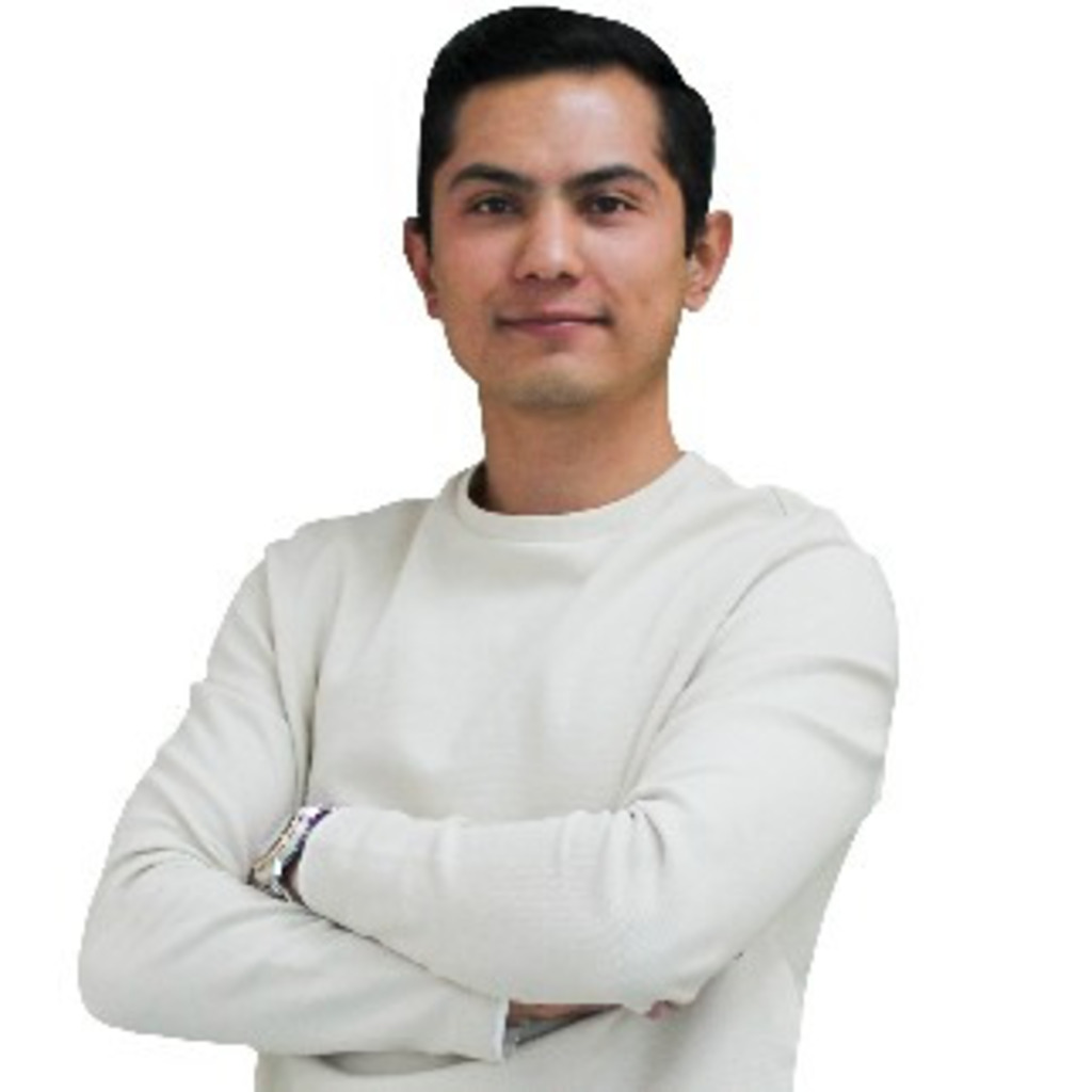 Eduardo Perez Salazar - SAP Consultant - abat North America | XING