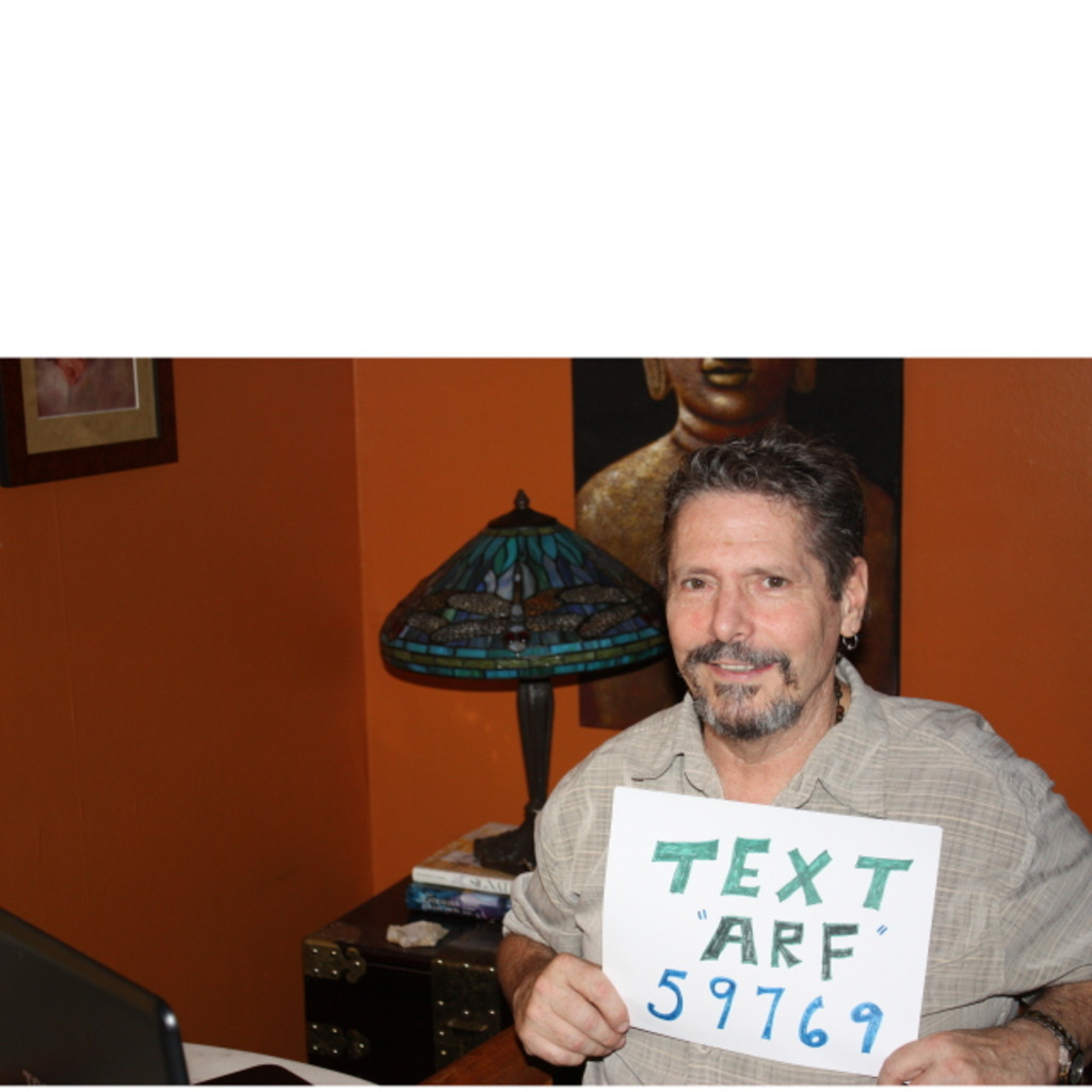 Mark Rauser - CEO - Bluedogmobilemarketing | XING