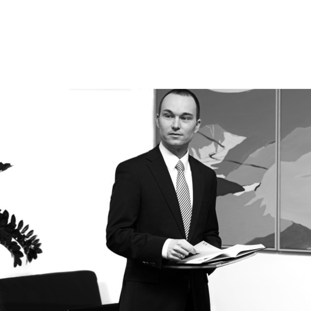 Daniel Widmann: Ausbildung und Berufserfahrung | XING