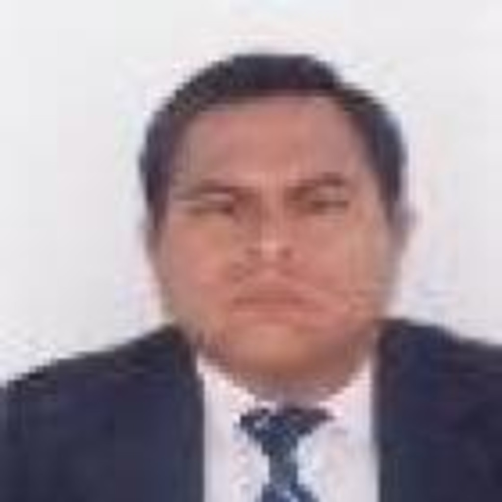 MANUEL SERGIO RONDON RIVERA: Ausbildung und Berufserfahrung | XING