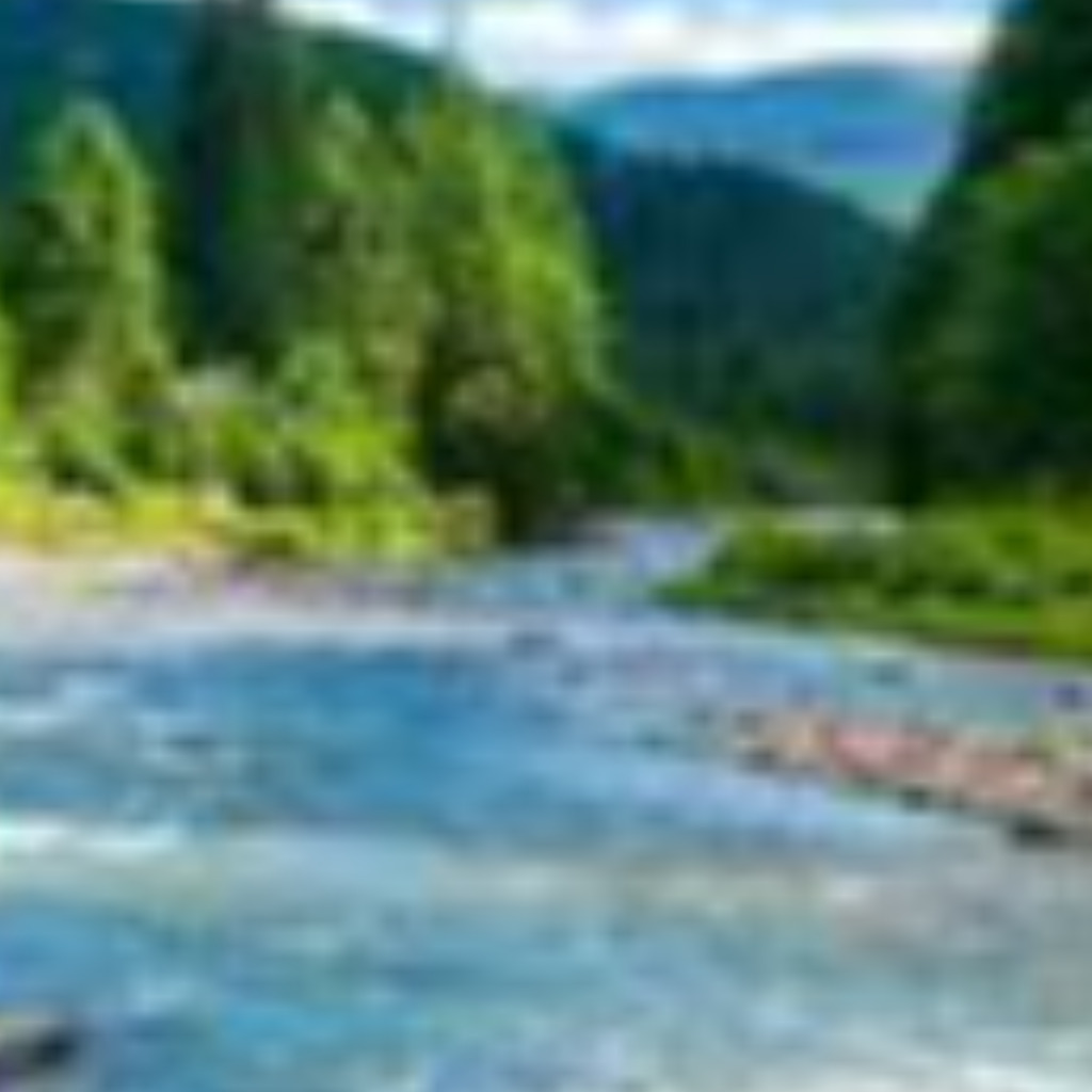 Wong Kin - Fullstack Developer - Austin Rosenbaum | XING