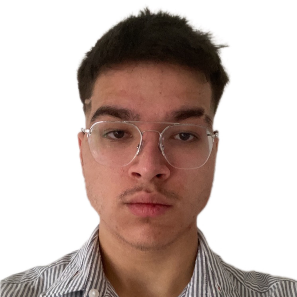 Bogdan-Gabriel Chipcea - Fachinformatiker für Systemintegration - MR ...