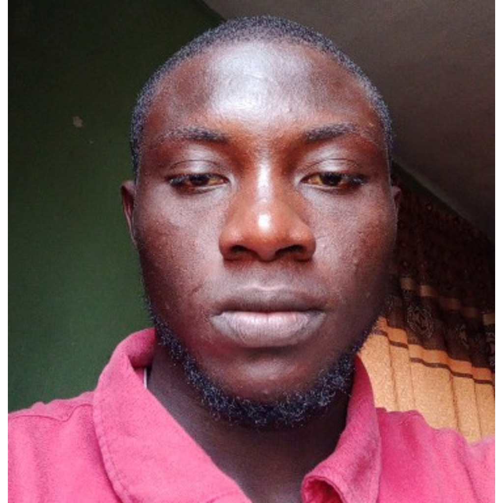 Ibe Joseph - Solar Energy Technician - Gadas Technology NIG LTD | XING