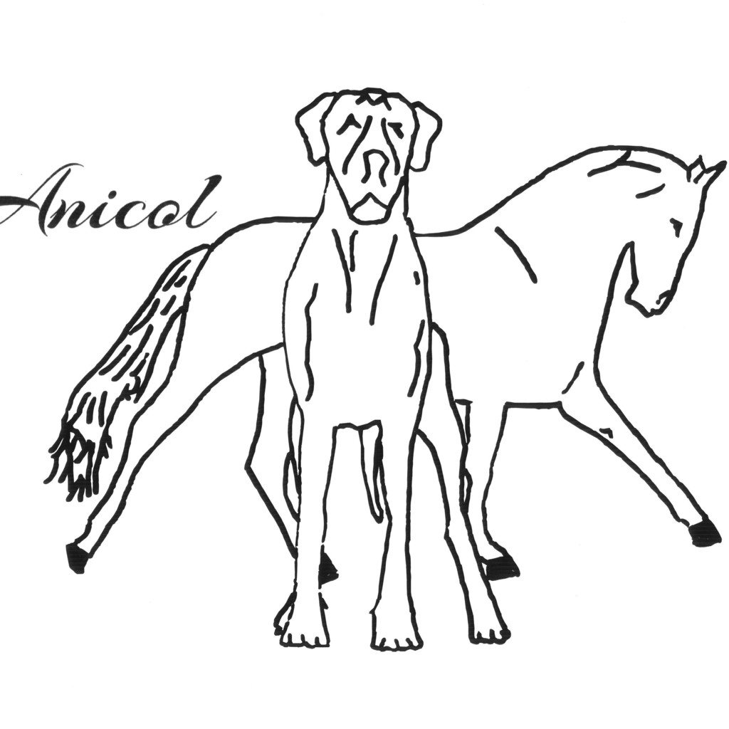 Simone Müller - Manufaktur - Anicol - Animal Collection | XING