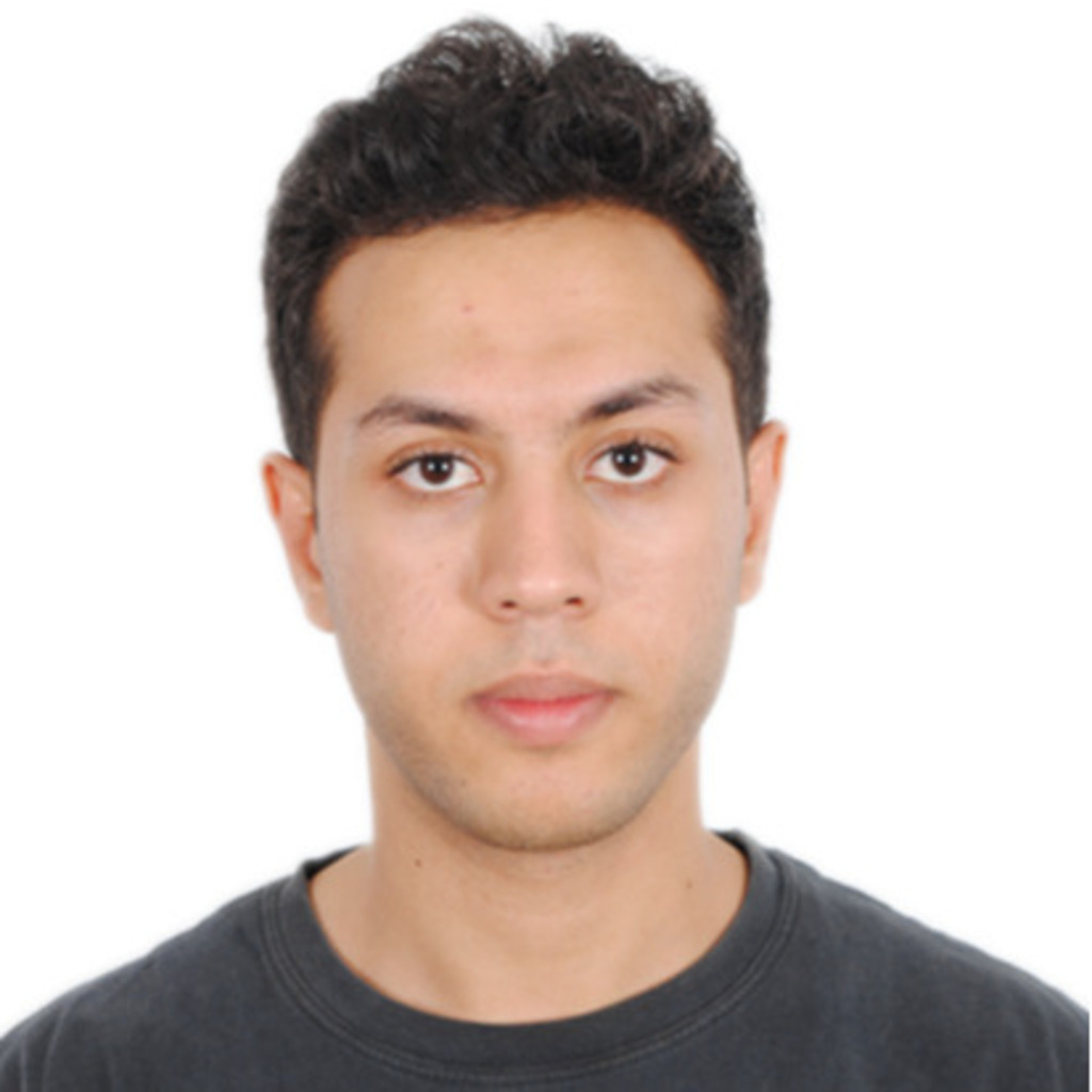 Khaled Hanafy Saeed Atiya - Research Assistant - Leibniz Institute for ...