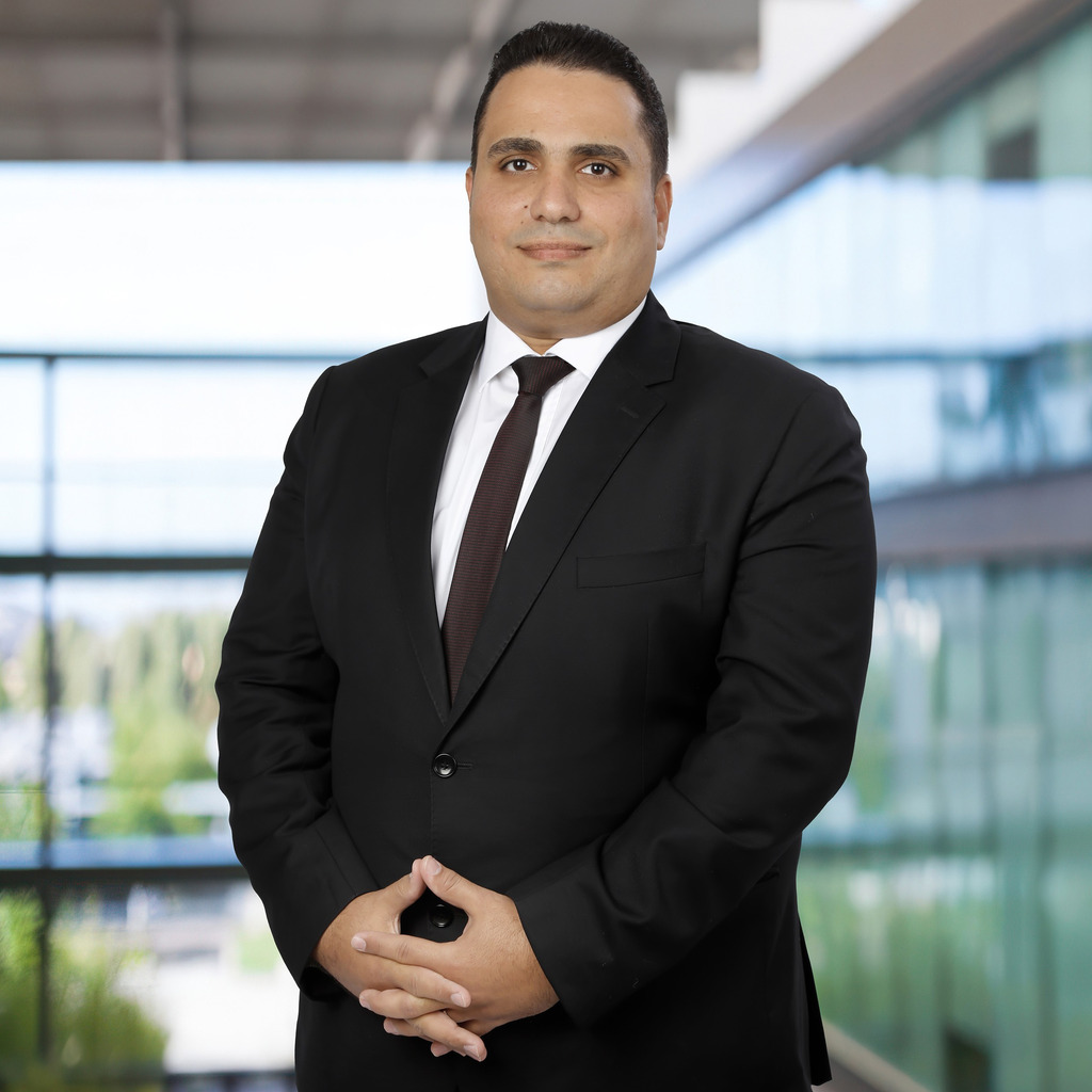 Ing. Emad roufael shaoul عماد روفائيل شاؤول - Chairman of the Board of ...