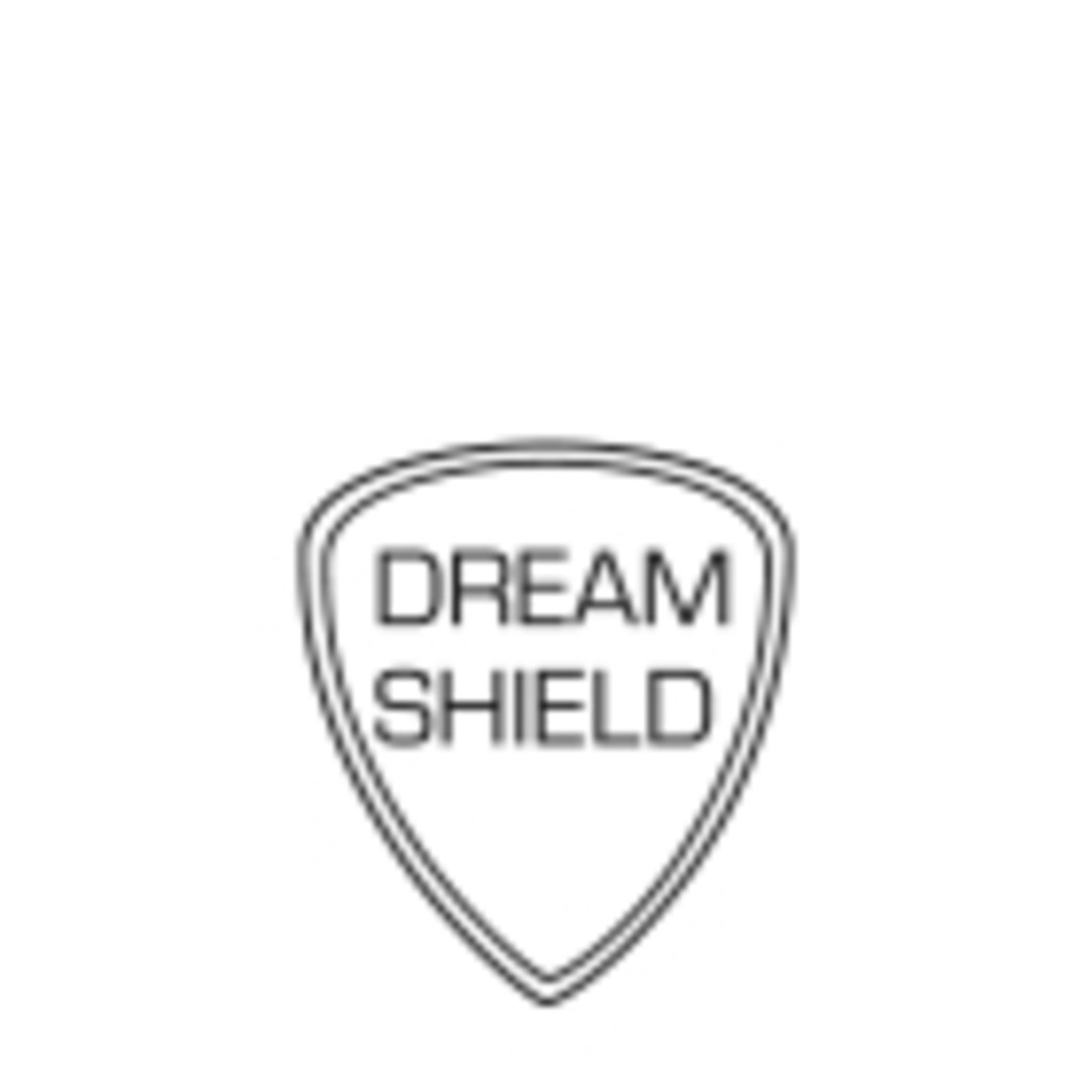 James Cuffe - CEO & Founder - Dream Shield Auto | XING