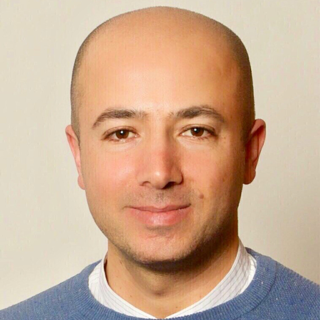 Ali Rayya - Wissenschaftlicher Mitarbeiter - Hochschule RheinMain | XING