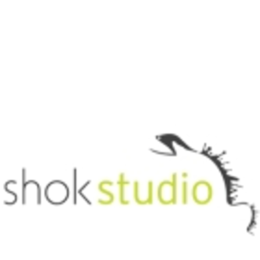Simon Hayden - Partner - shok studio | XING