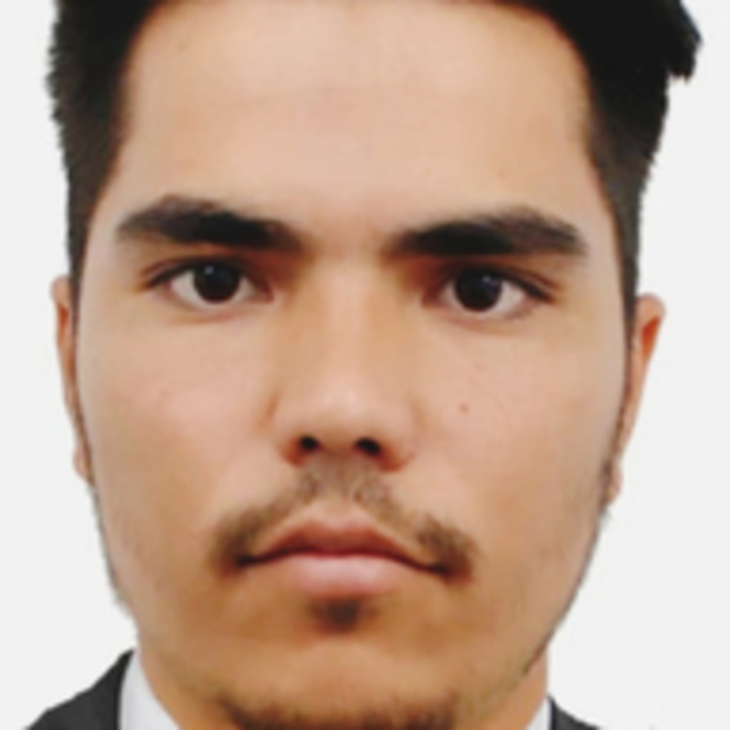 Mohammad Sharif mirza - Automotive mechanics in the foam sector - Abbas ...