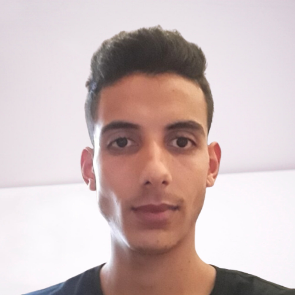 Alaa Abidi - Backend Developer - MLK Solutions | XING