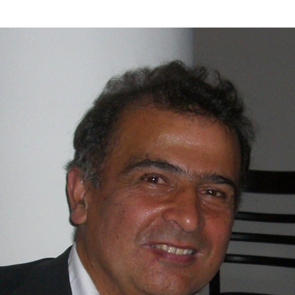 Dipl.-Ing. Hussein Halawi - Senior Scheme Manager /Product Specialist ...