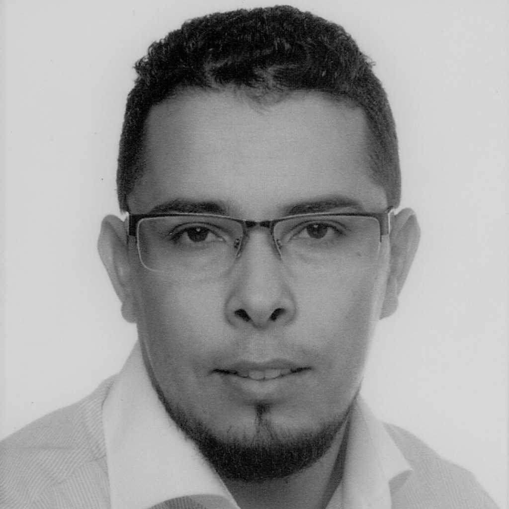 Abdelkarim Abdallah Software Developer Vivavis Ag Xing 