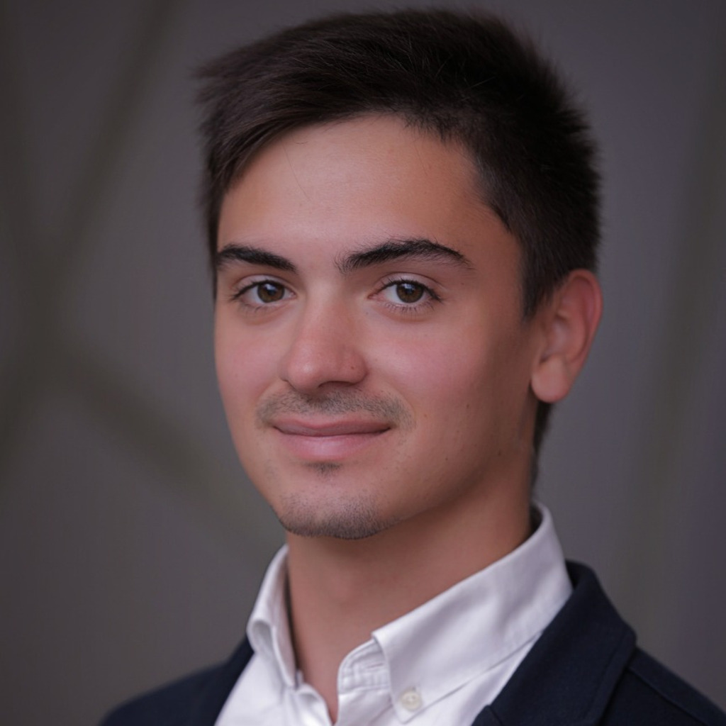 Serban-Cristian Stef - Software Engineer Java - GFI Informatique | XING