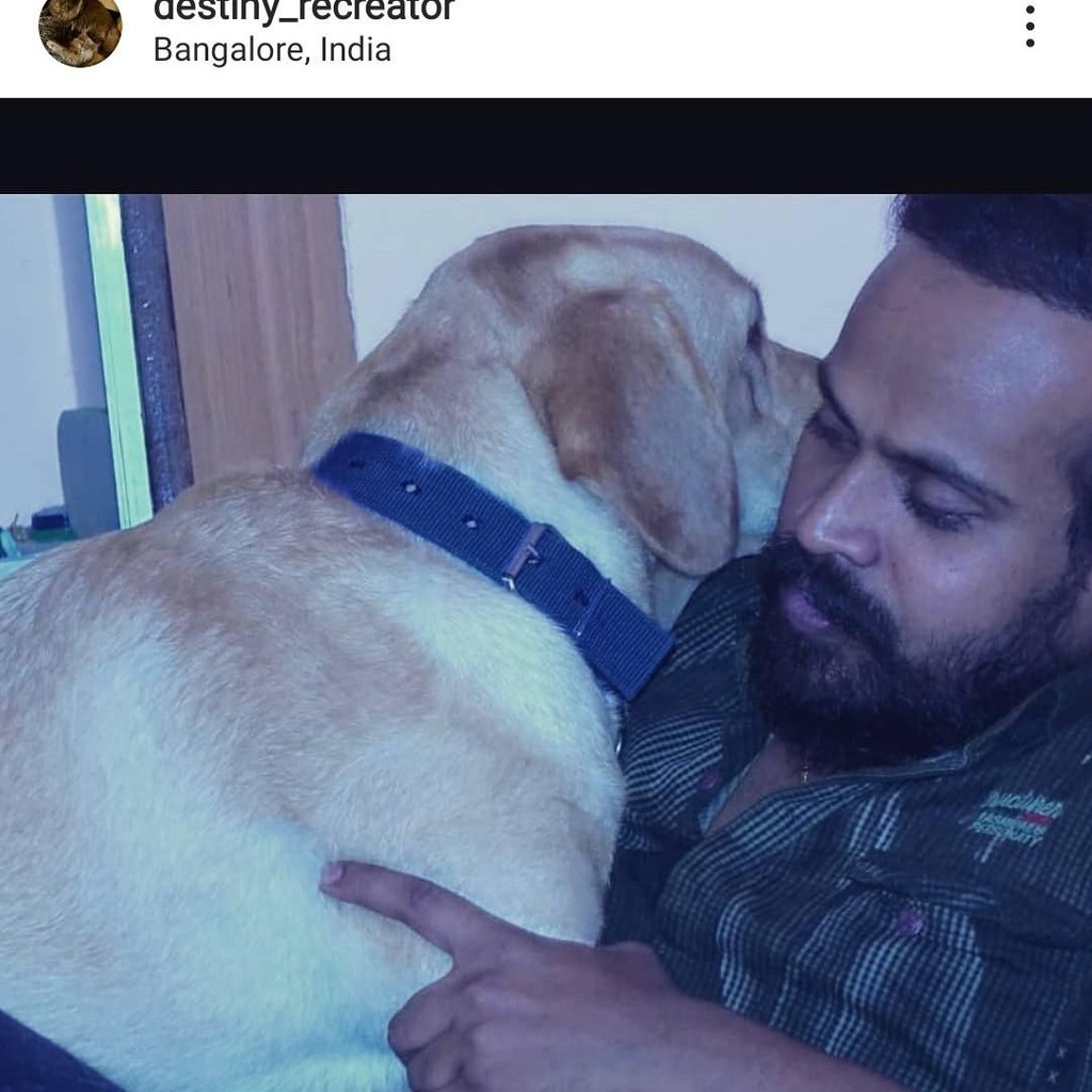 George Deepak - Technical Writer - UST Global | XING