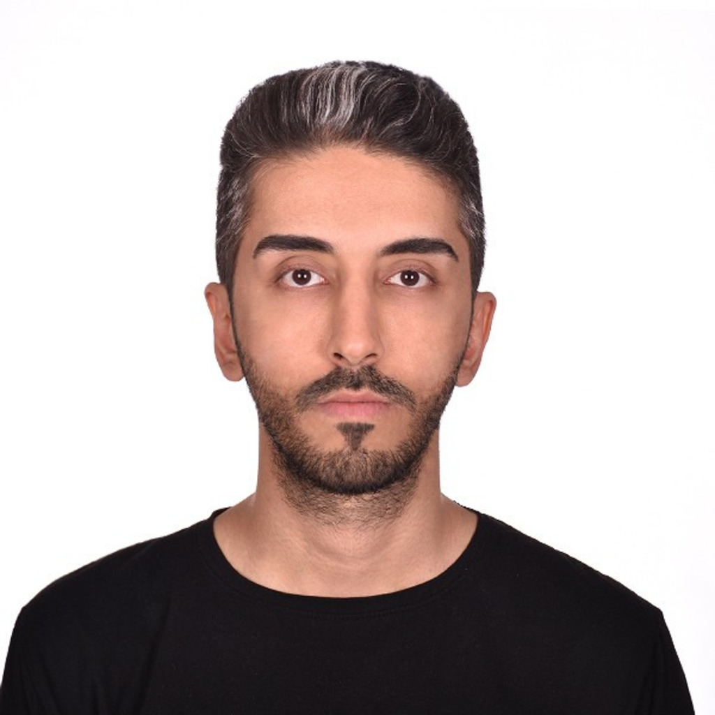Ali Mohammad Kargar - PHP Full-Stack Developer - TOSAN TECHNO | XING