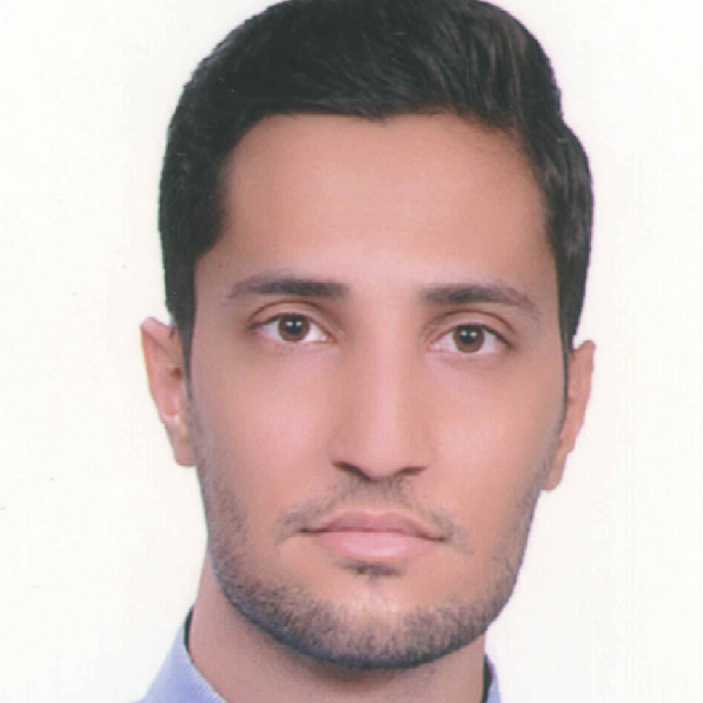 Hamid Alizadeh: Ausbildung und Berufserfahrung | XING