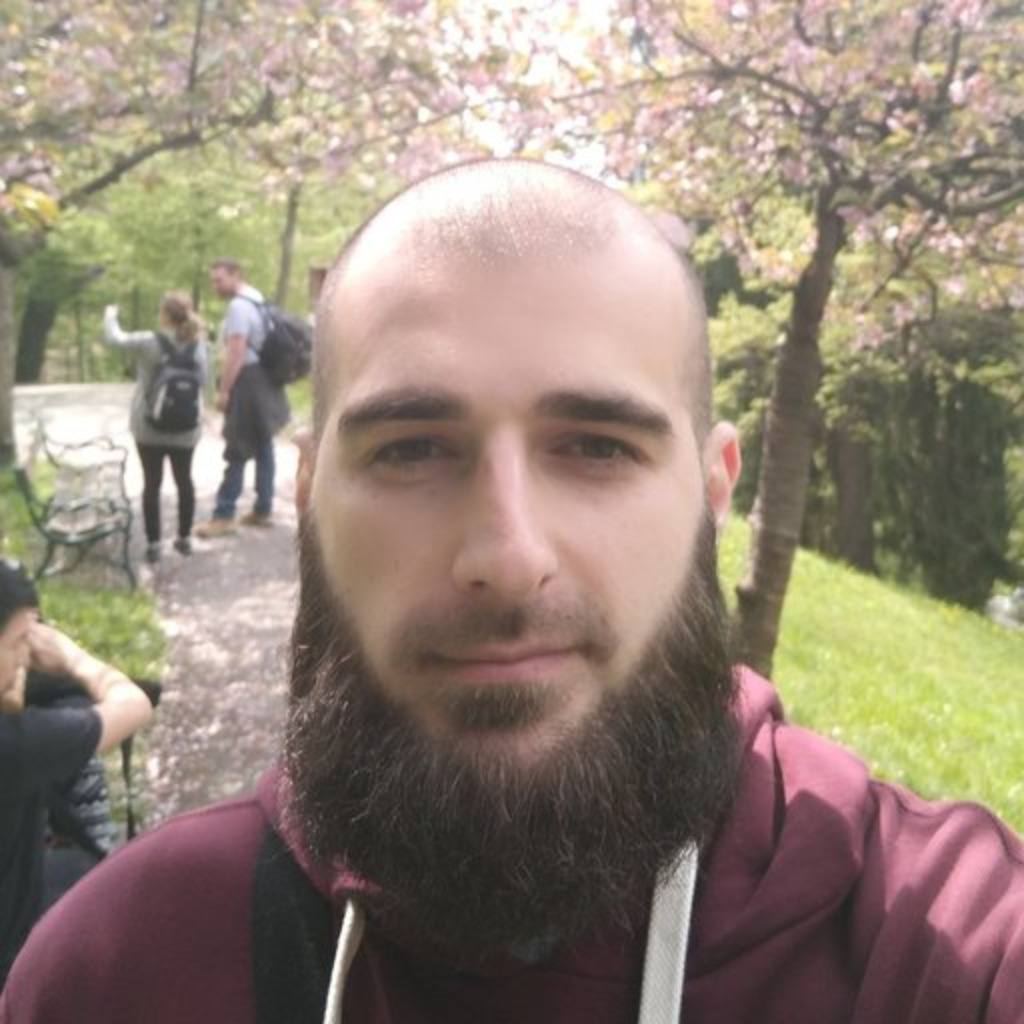 Elvis Dedic - Lead Application Engineer - qiibee | XING