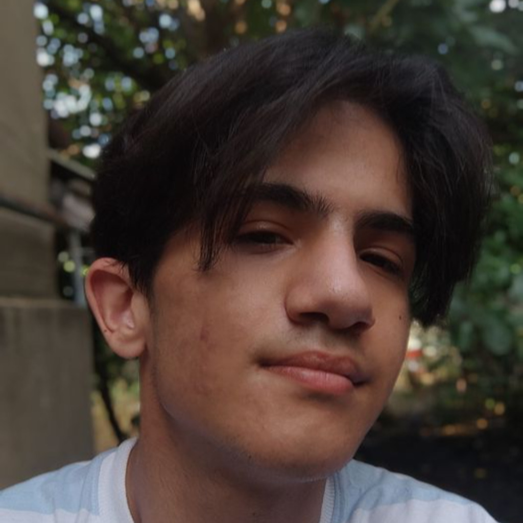 alik vermishiani: Ausbildung und Berufserfahrung | XING